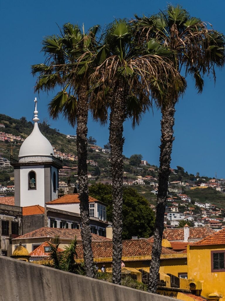 Madeira ‐ Top 10 things to do (in 7 days) - Wander Anyway