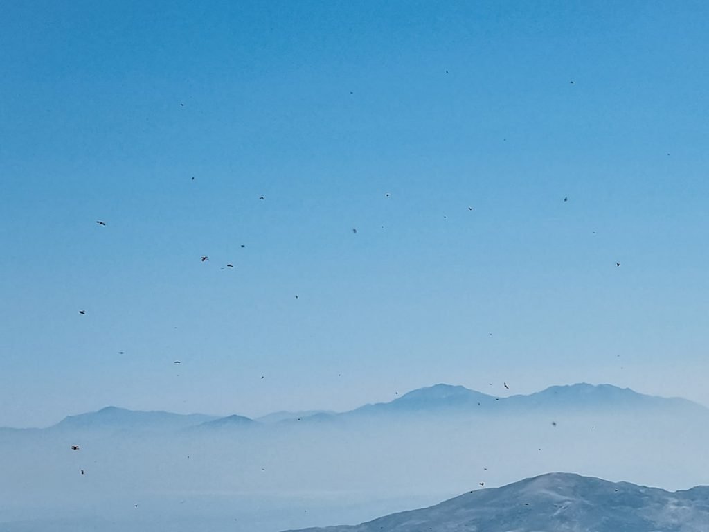 Crete’s Highest Peak: A Hike from Mygero Refuge to Mount Ida - Wander ...