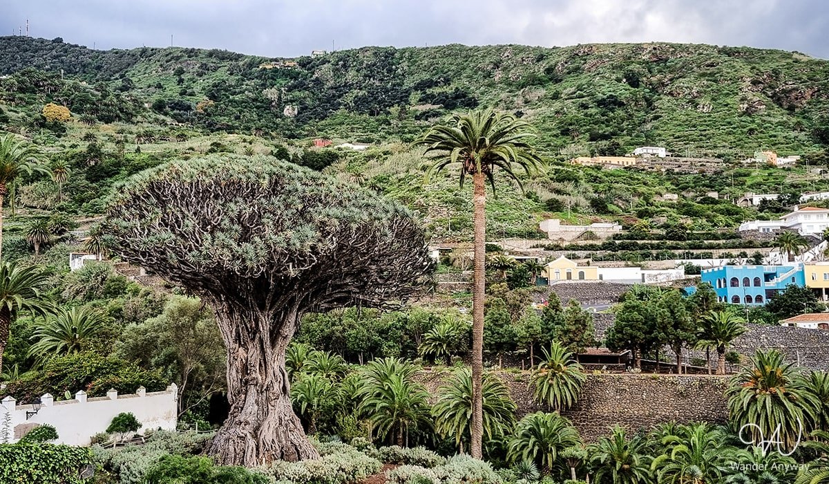 Best Places to Visit in West and South Tenerife - Wander Anyway