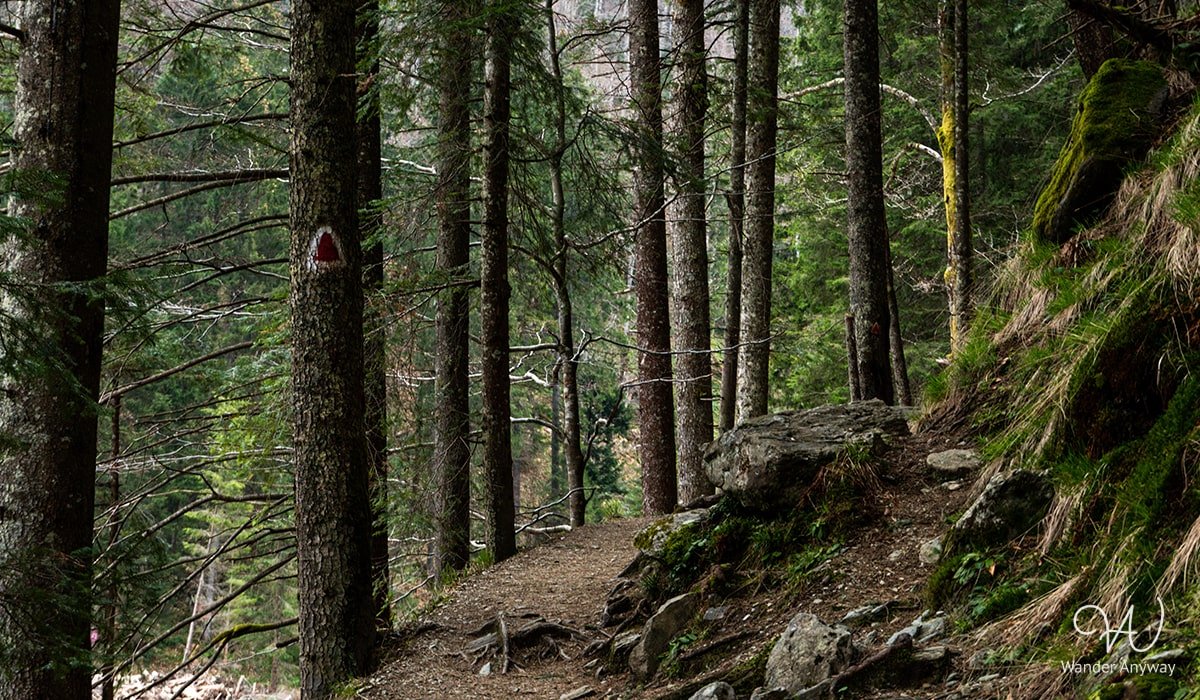 Hiking to the Sâmbetei Valley Hut in the Făgăraș Mountains - Wander Anyway