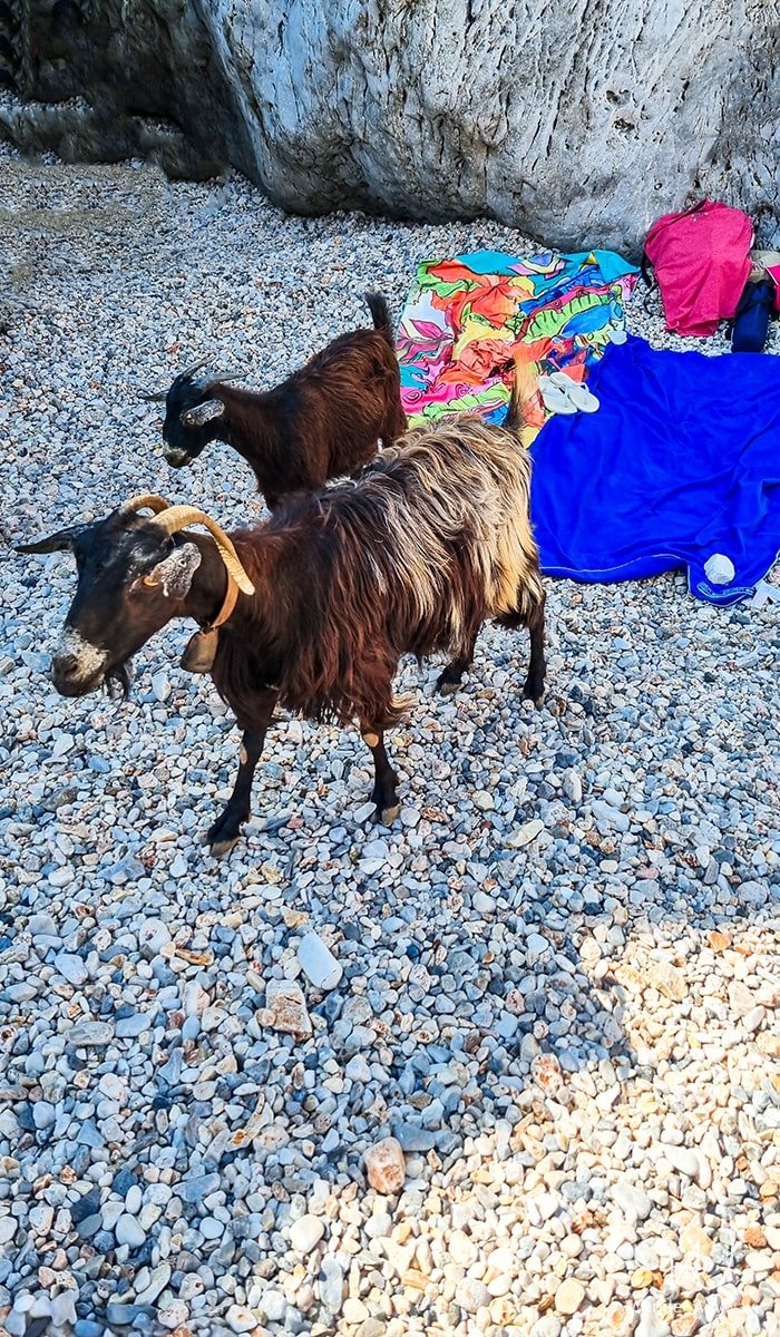 How to Get to Seitan Limania Beach in Crete - Wander Anyway