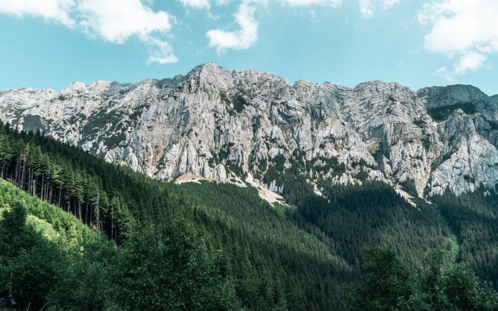 Piatra Craiului Loop Hike: Plaiul Foii–Șpirlea–Tămașel Trail - Wander ...