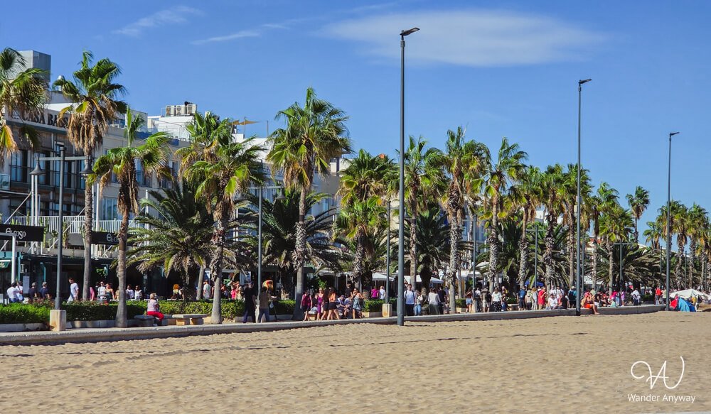 Things to Do in Valencia: 9 Must-Visit Attractions - Wander Anyway
